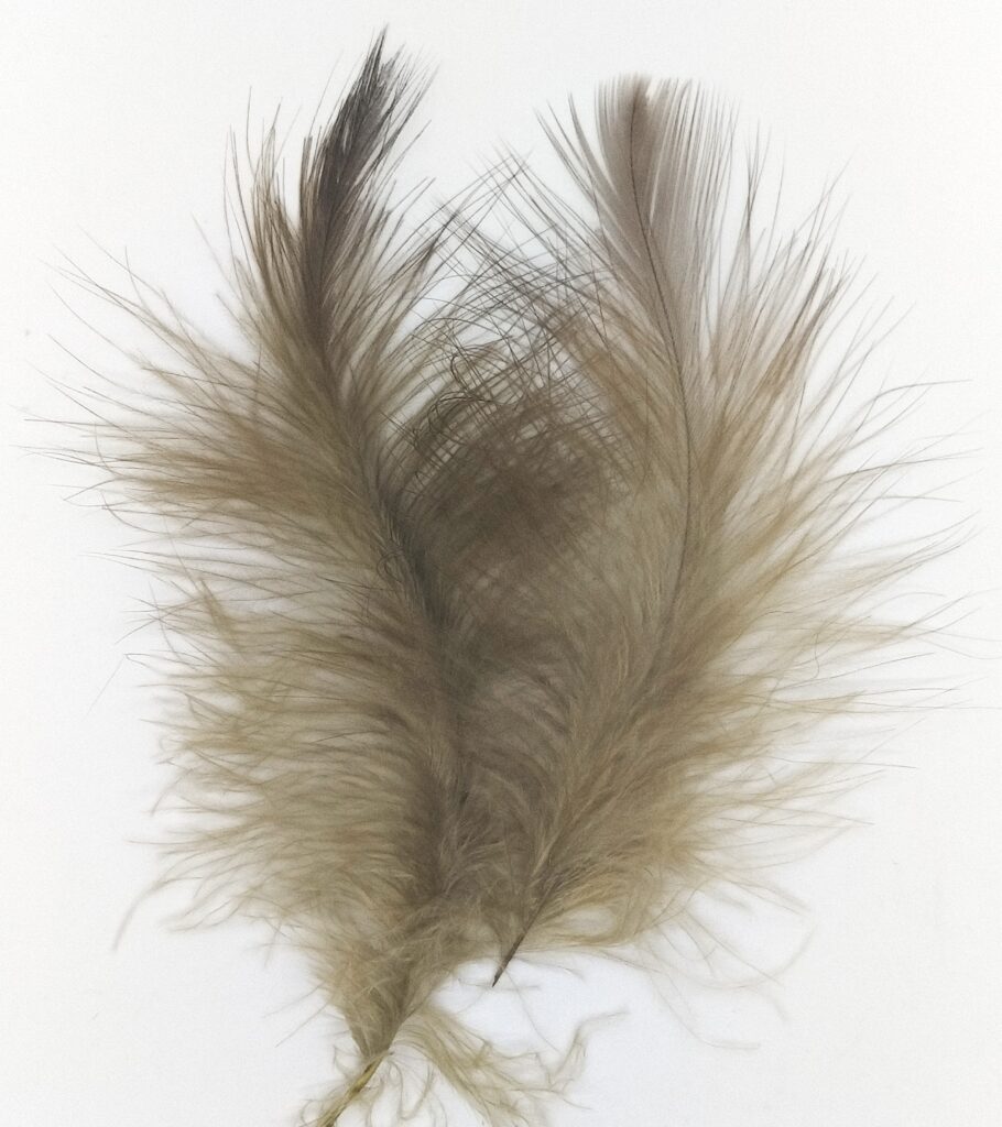 Golden Eagle Marabou - SWEETFISH