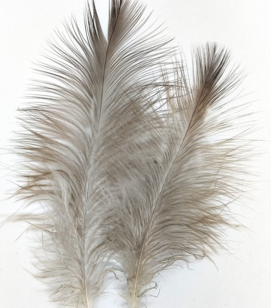 Golden Eagle Marabou - SWEETFISH